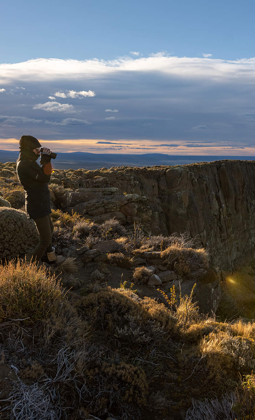 Birdwatching - Patagonia Camp
